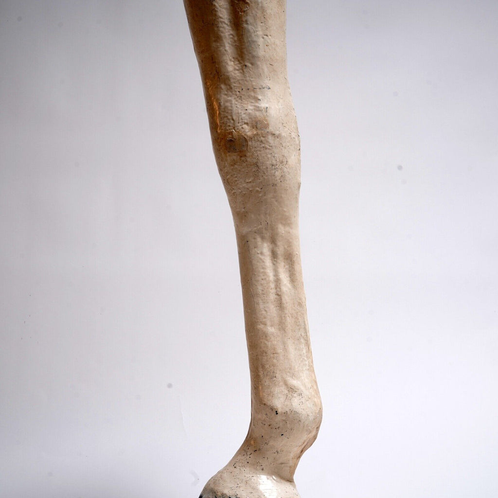 Vintage Papier-mâché Horse leg Mockup – Stowaway London